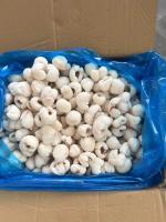 China Frozen Whole Peeled Lychee in Bulk Carton Packaging IQF Sweet Tasted Lichee Fruit with Mango Variety of Preserved Fruits for sale