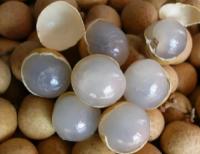 China Get the Frozen Fruit for Your Business Affordable and Delicious Longon for sale