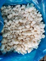 China Get the Frozen Fruit for Your Business Affordable and Delicious Longon for sale
