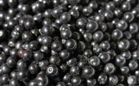 China 2025 New Corp Top Quality Good Price IQF Frozen Black Currant Frozen Fruits for sale