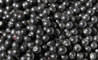 China 2025 New Corp Top Quality Good Price IQF Frozen Black Currant Frozen Fruits for sale
