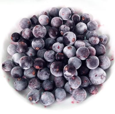 China 2025 New Corp Top Quality Good Price IQF Frozen Black Currant Frozen Fruits for sale