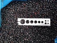 China 2025 New Corp Top Quality Good Price IQF Frozen Black Currant Frozen Fruits for sale