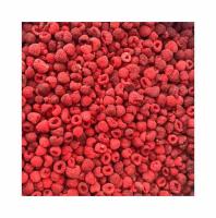China High Quality IQF Frozen Whole Raspberries in Bulk Carton Packed for sale
