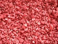 China Wholesale IQF Frozen Raspberry Crumble Factory Price Strict Quality Control Good Taste for sale