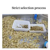 China Frozen Iqf Banana From China Hot Product Sliced for Export With High Quality for sale