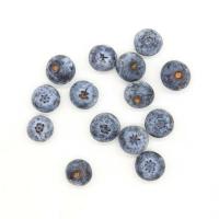 China Wholesale Chinese Iqf Frozen Berries IQF Frozen Blueberry for Export with Good Price Blue Berry for sale