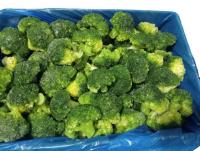 China High Quality IQF Frozen Broccoli 20-40mm Premium Vegetable Product for sale