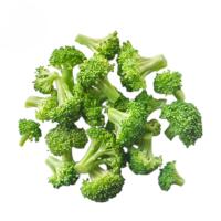 China High Quality IQF Frozen Broccoli 20-40mm Premium Vegetable Product for sale