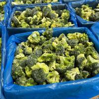 China High Quality IQF Frozen Broccoli 20-40mm Premium Vegetable Product for sale