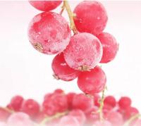 China Hot Sell New Crop Iqf Frozen Bulk Red Lingonberry in Frozen Fruits Bulk Packing for sale