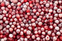 China Hot Sell New Crop Iqf Frozen Bulk Red Lingonberry in Frozen Fruits Bulk Packing for sale