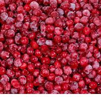China Hot Sell New Crop Iqf Frozen Bulk Red Lingonberry in Frozen Fruits Bulk Packing for sale