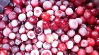China Hot Sell New Crop Iqf Frozen Bulk Red Lingonberry in Frozen Fruits Bulk Packing for sale