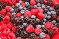China Fresh IQF Frozen Mixed Berries Blackberry Strawberry Raspberry Blueberry in Blackberry Strawberry Berries Style for sale