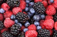 China Fresh IQF Frozen Mixed Berries Blackberry Strawberry Raspberry Blueberry in Blackberry Strawberry Berries Style for sale