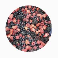China Fresh IQF Frozen Mixed Berries Blackberry Strawberry Raspberry Blueberry in Blackberry Strawberry Berries Style for sale