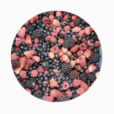 China Fresh IQF Frozen Mixed Berries Blackberry Strawberry Raspberry Blueberry in Blackberry Strawberry Berries Style for sale
