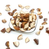 China Bulk IQF Frozen Shiitake Mushroom Hot-selling for sale