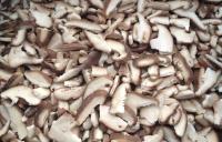 China Bulk IQF Frozen Shiitake Mushroom Hot-selling for sale
