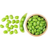 China Bulk Organic High-Protein Frozen Vegetable Ready to Cook IQF Soya Beans for sale