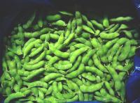 China Bulk Organic High-Protein Frozen Vegetable Ready to Cook IQF Soya Beans for sale