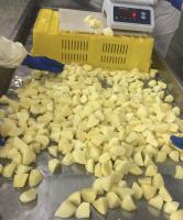 China Certified Quality IQF Frozen Potato Dices Professional Manufacturer of Frozen Vegetables for sale
