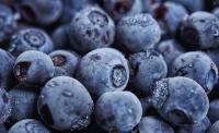 China IQF Frozen Blueberries in Bulk Good Prices for Wholesale for sale