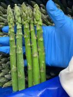 China Factory Certified Quality Manufacture IQF Frozen Asparagus for sale