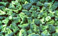 China Whosale High Quality Frozen Broccoli Fresh-Picked in Bright Colours for Cooking for sale