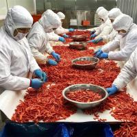 China Certified Quality Professional Manufacture IQF Frozen Red Bell Pepper Strips for sale
