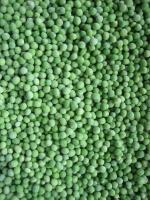 China Wholesale IQF Green Peas Bulk 10kg Frozen Vegetables for sale