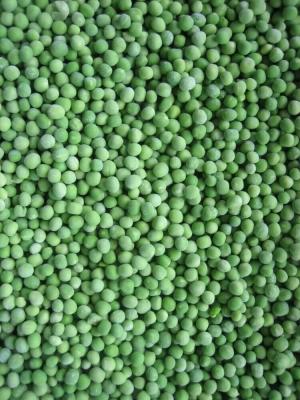 China Wholesale IQF Green Peas Bulk 10kg Frozen Vegetables for sale