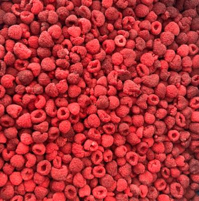 China High Quality  Frozen Whole Raspberries for sale