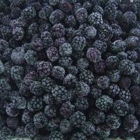 China Frozen Fruits Berries Hot Sale and High Quality IQF Frozen Blackberry for sale