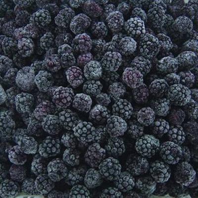 China Frozen Fruits Berries Hot Sale and High Quality IQF Frozen Blackberry for sale