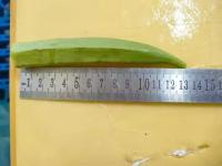 China Frozen Lady's Fingers IQF Premium Okra Vegetable Whole and Sliced for Cooking Wholesale Bulk Supplier from Vietnam for sale