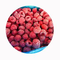 China High Quality Fresh Frozen Raspberry Handpicked for Sweet Taste for Juices Desserts Milkshakes for sale