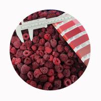 China High Quality Fresh Frozen Raspberry Handpicked for Sweet Taste for Juices Desserts Milkshakes for sale