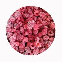 China High Quality Fresh Frozen Raspberry Handpicked for Sweet Taste for Juices Desserts Milkshakes for sale