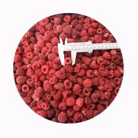 China High Quality Fresh Frozen Raspberry Handpicked for Sweet Taste for Juices Desserts Milkshakes for sale