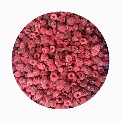 China High Quality Fresh Frozen Raspberry Handpicked for Sweet Taste for Juices Desserts Milkshakes for sale