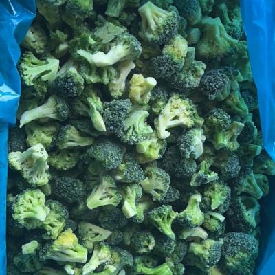 China High Quality IQF Frozen Broccoli Ready Stock for Restaurants Wholesale Price for sale
