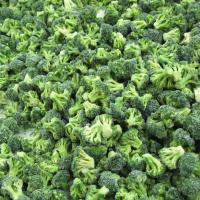 China High Quality IQF Frozen Broccoli Ready Stock for Restaurants Wholesale Price for sale