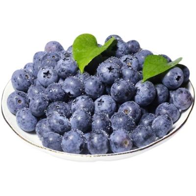 China IQF Sweet Whole Blueberries Frozen Blueberries for sale