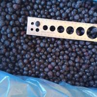 China IQF Sweet Whole Blueberries Frozen Blueberries for sale