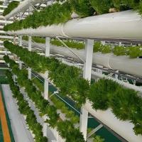 China Greenhouse for Soilless Cultivation of Large-Scale Vegetable and Fruit Production for sale