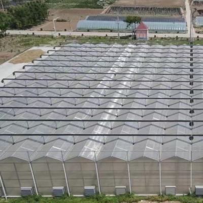 China JX-A006 Large Size Venlo PC Polycarbonate Greenhouse for Commercial and Agricultural for sale