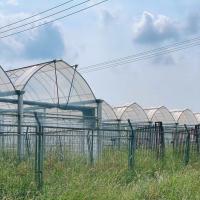 China Double Arch Beam Sunlight Greenhouse with Snow Vibrator Durable and Weather-Resistant for sale