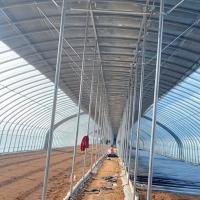 China Commercial Greenhouse Single Span Tunnel Film Greenhouse with 30 Days Return Guarantee for sale